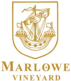 La carte :: Marlowe Vineyard